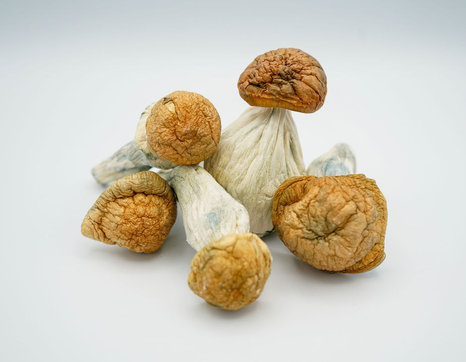 Mushrooms – Eden