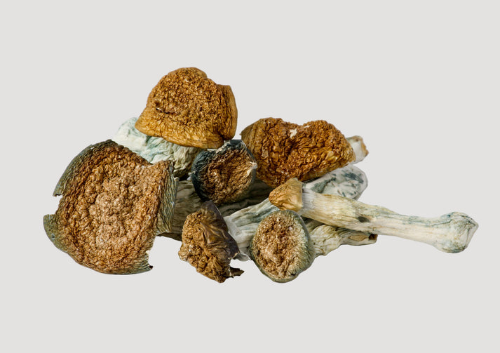 EDEN Mystic Meanies Magic Mushrooms – Eden