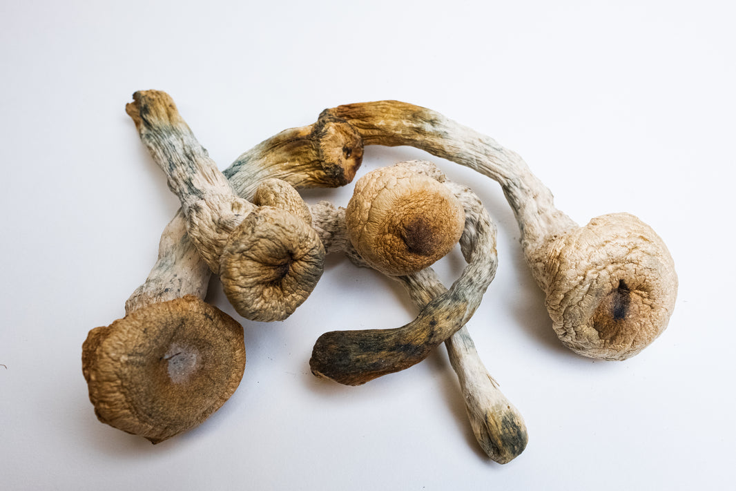 Mushrooms – Eden